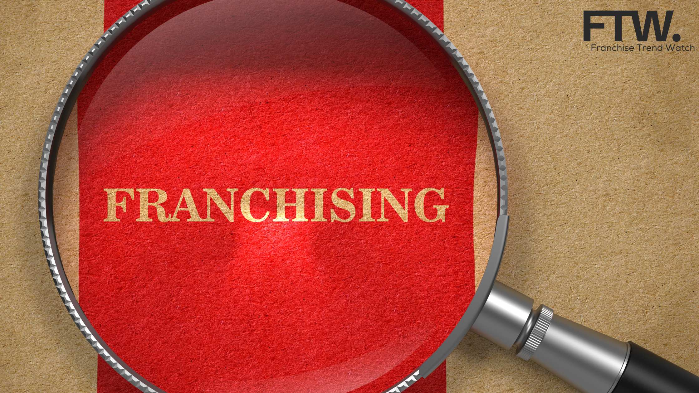 A Comprehensive Franchising Guide for Dummies - Franchise Trend Watch
